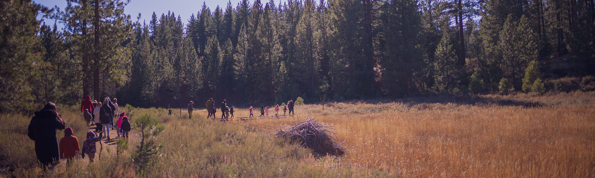 Preschool in Incline Village, Lake Tahoe - Lake Tahoe School